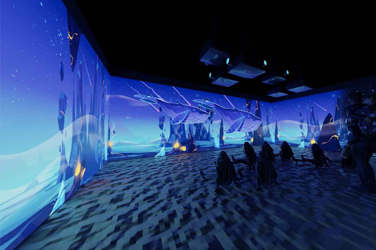 Bitvisus - Professional Audio and Video Hardware Manufacturer – BITVISUS